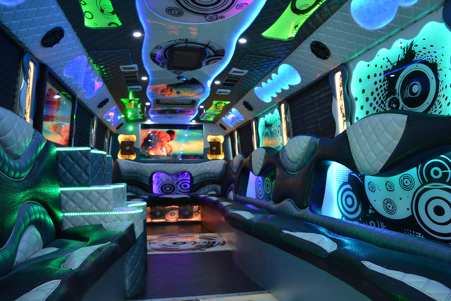 34 Passenger Party Bus Rental | Enclave Edition Chicago