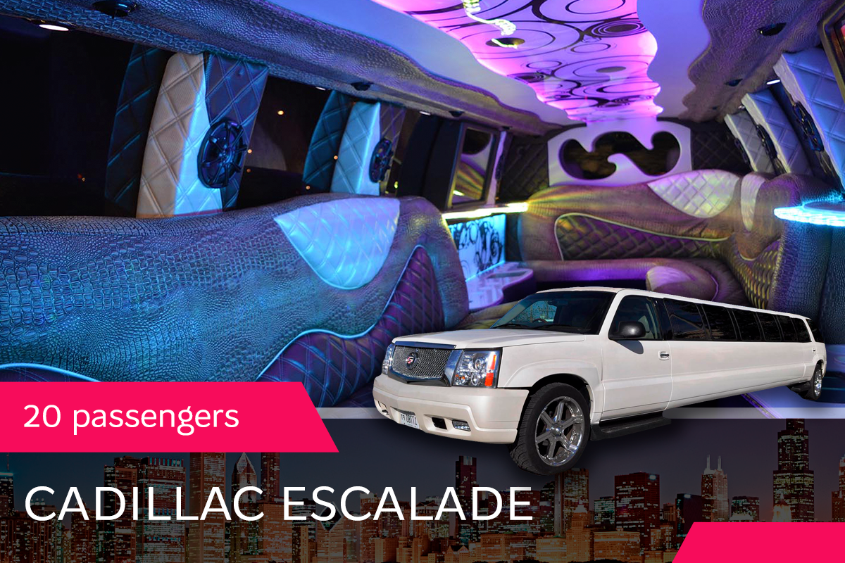 Chicago Party Bus Rentals | Elite Party Buses With Best Rates
